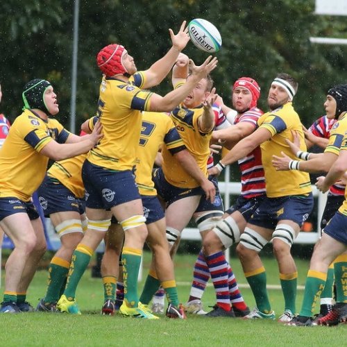 Henley Rugby Football Club